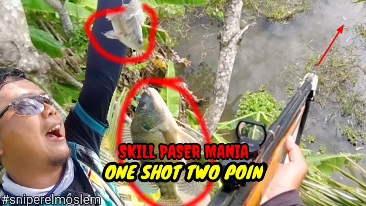 Skill Dewa Paser Mania, One Shot Two Poin - YouTube