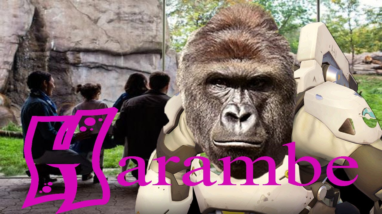 Straight Up Gameplay: Overwatch With Harambe - YouTube