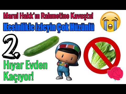 Hıyar ve Marul - Hüzünlü Bir Hikaye - 2