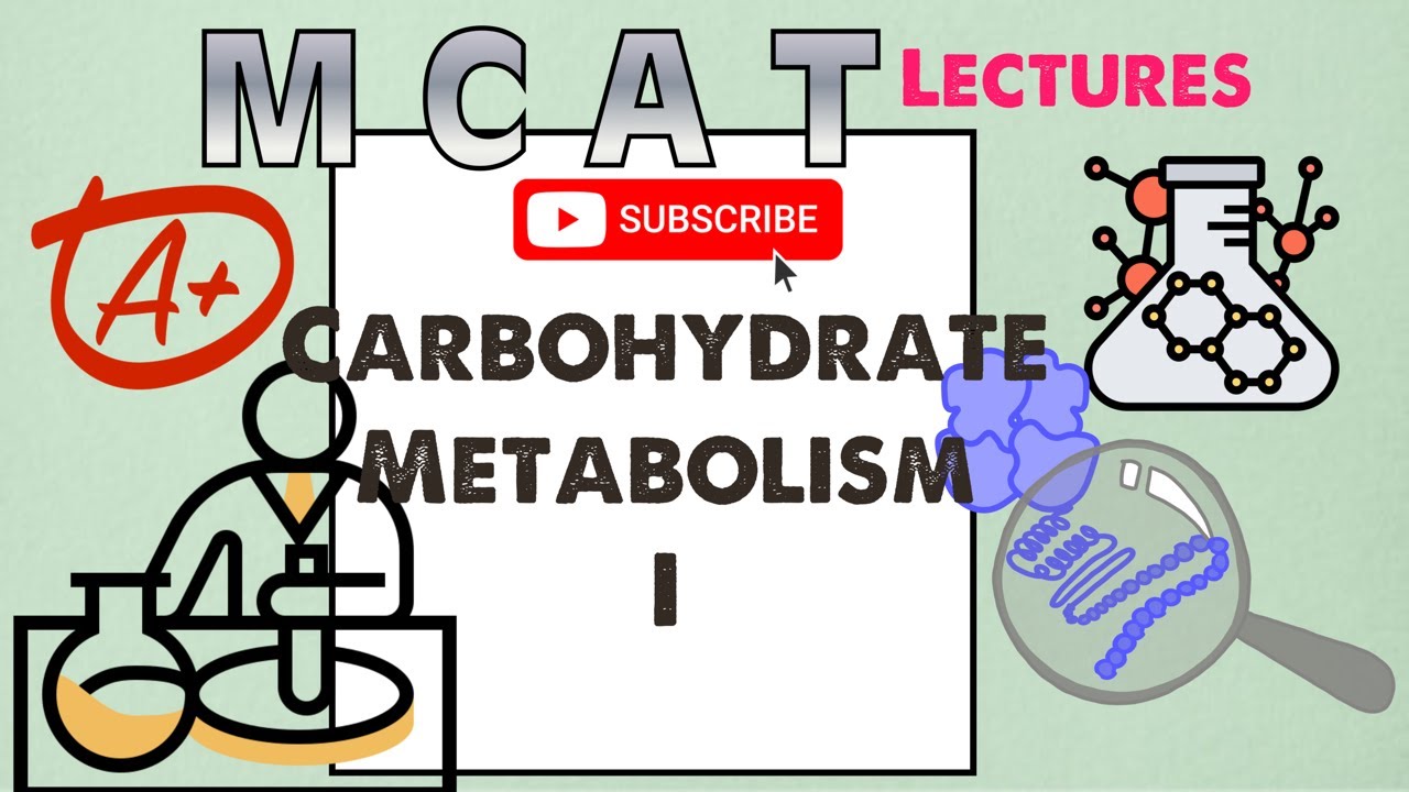 Biochemistry MCAT Chapter 8: Carbohydrate Metabolism I (1/2) - YouTube