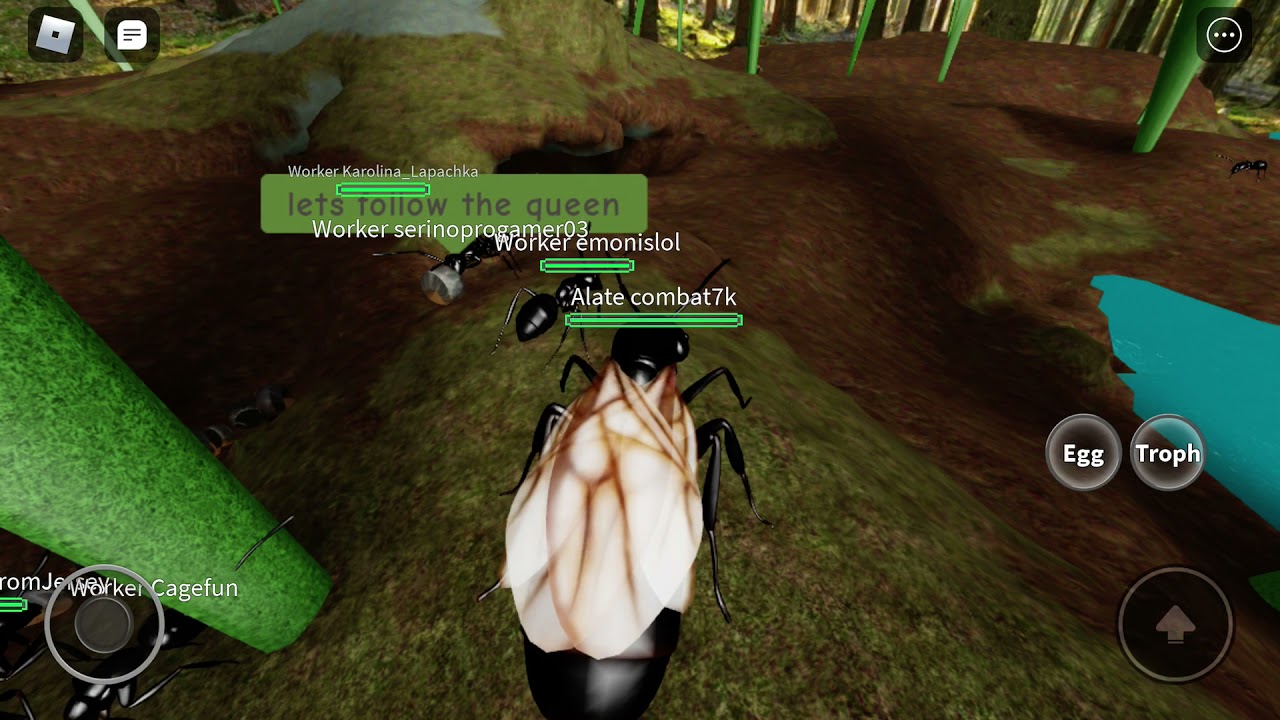 Play as Alate in ant life - YouTube