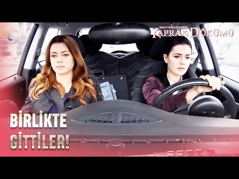Leyla ile Necla Birlikte Yolculuk Yapıyor! - Yaprak Dökümü 134. Bölüm