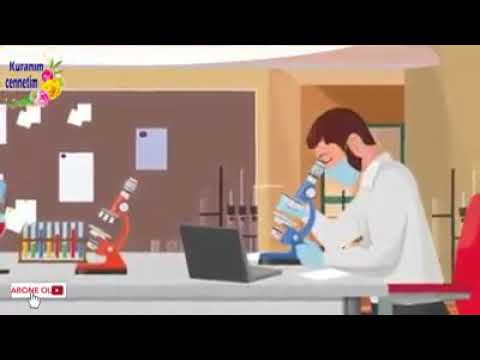 Kur'an Mucizesi Yahudi Bilim Adamı Ve Araştırmaları