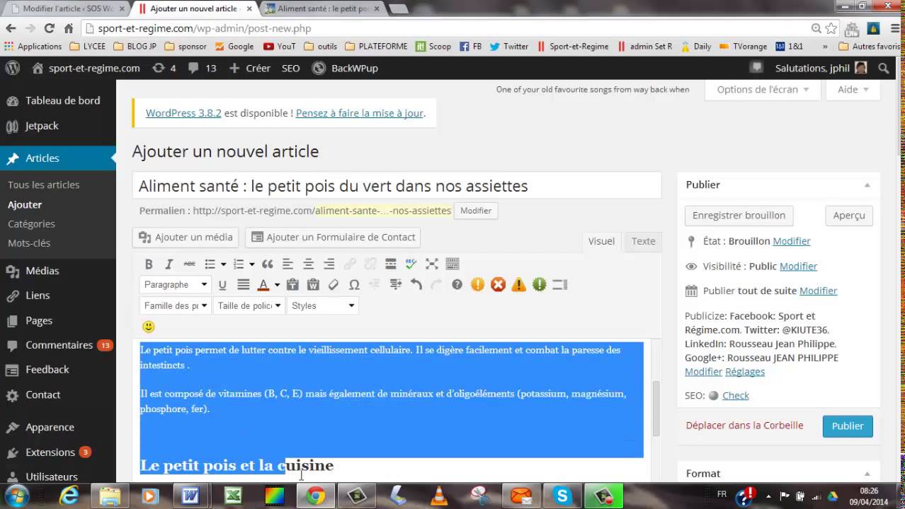 Comment écrire et publier son premier article sur Wordpress - YouTube