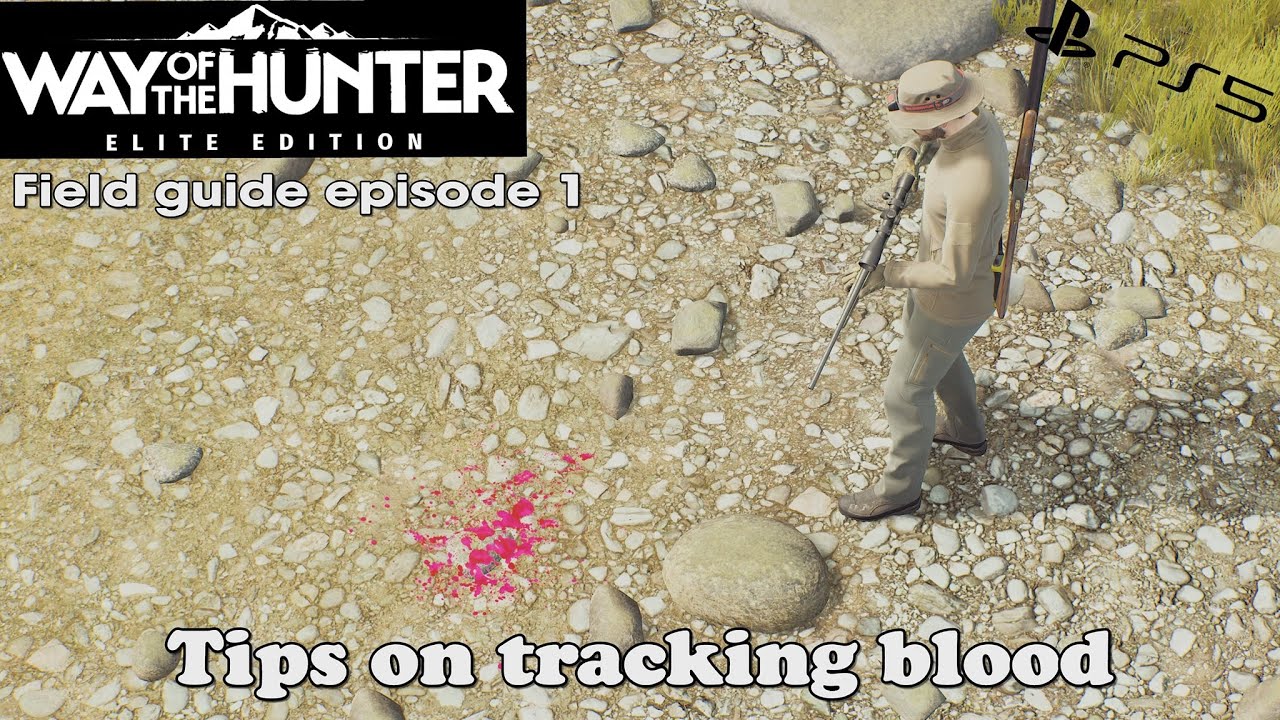 Way of the hunter field guide series Ep. 1 : Tracking blood | PS5 4k ...