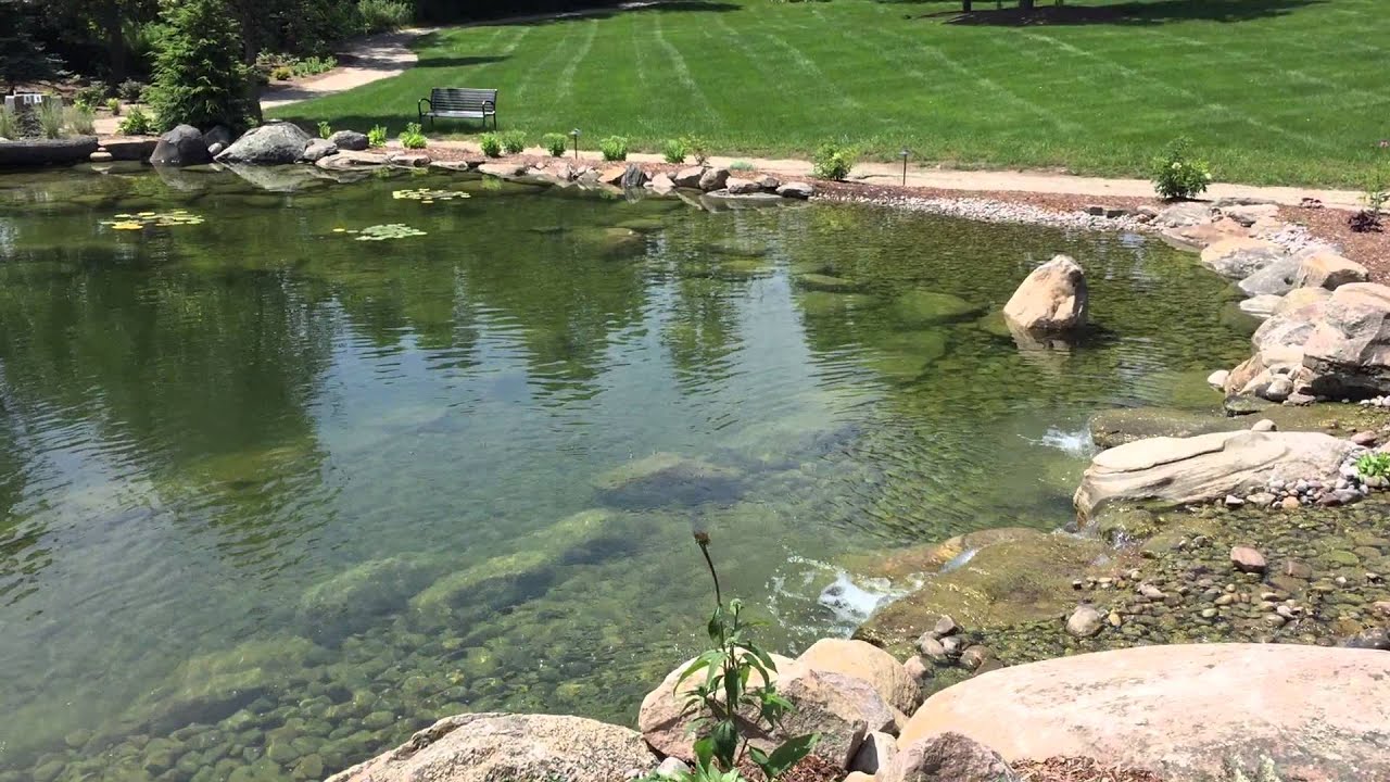 Pond, Waterfall, and Bog built in Guelph, Ontario - YouTube