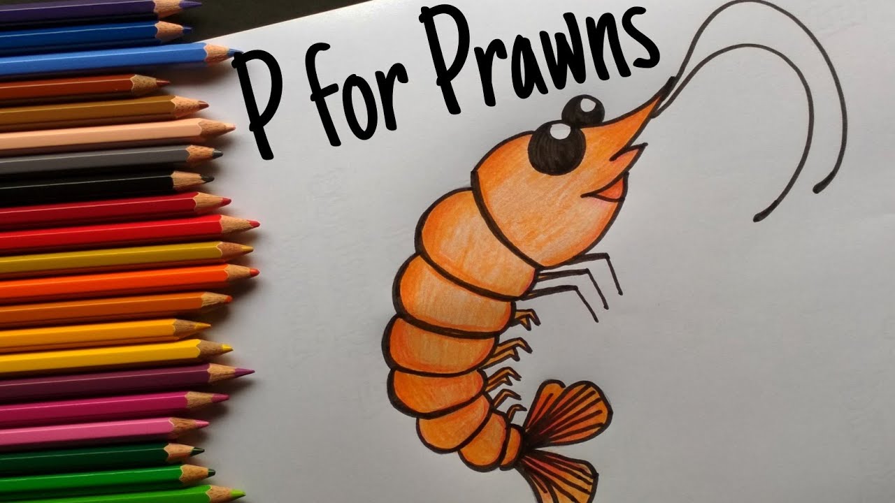 How to Draw a Prawn | P for Prawn - YouTube