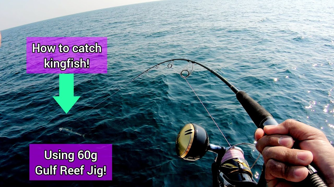 How to catch kingfish in the shallow water using light jig | Fishing in ...