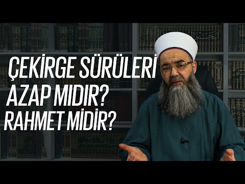 Çekirge Sürüleri Azap mıdır? Rahmet midir?
