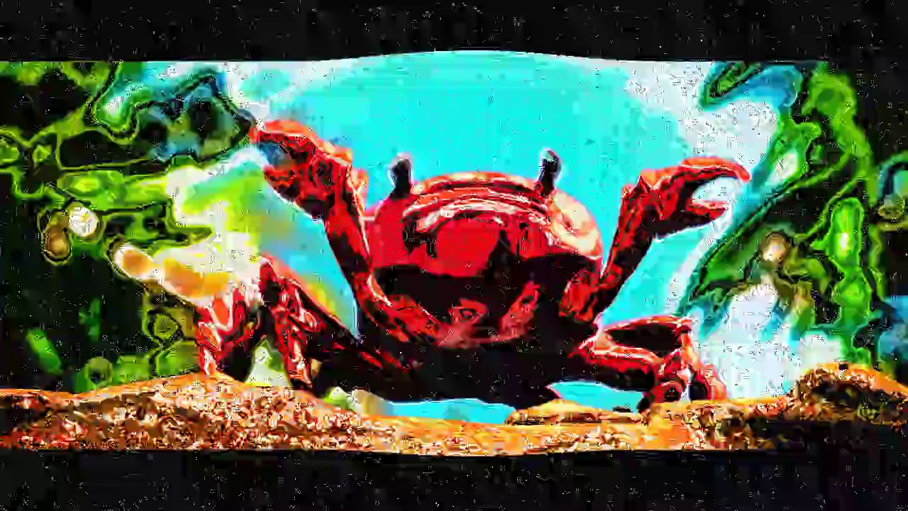 VERY GOOD CRAB RAVE REMIX *MUST WATCH* - YouTube