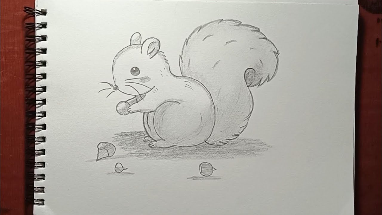 Squirrel 🐿️ cute drawing 😍 | Gilhari ka chitra | How to draw squirrel 🐿 ...