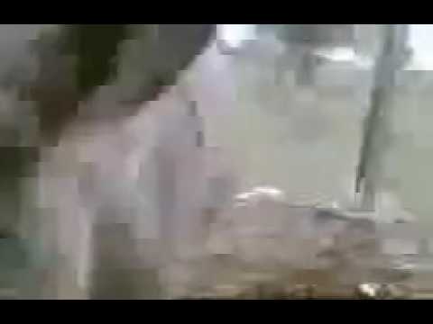 Yeznenin terifi yeni prikol