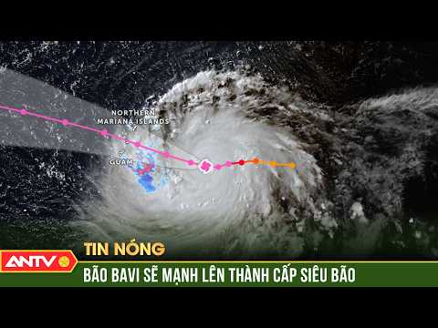 Bão Bavi sẽ trở thành siêu bão, diễn biến rất phức tạp | ANTV