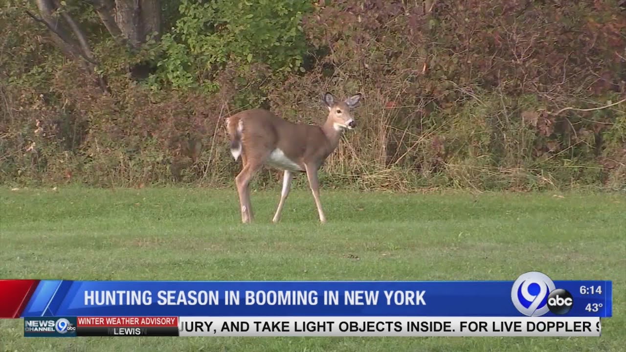 New York DEC sees large increase in number of people getting their ...