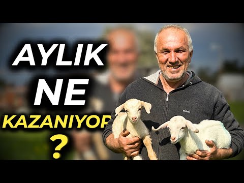İstanbul’daki İşini Bırakıp Köye Yerleşti…Keçilerden Aylık Geliri Şaşırttı!