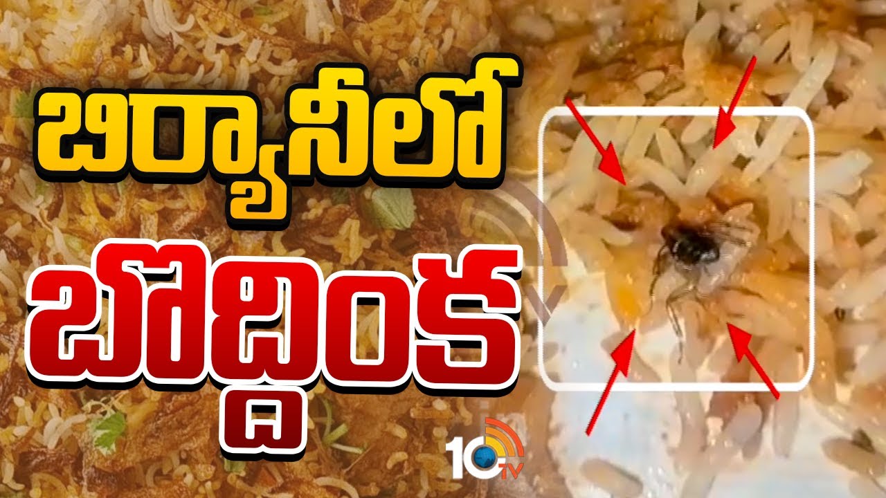 Cockroach Found in Biryani | చికెన్ బిర్యానీలో బొద్దింక | Jagtial ...