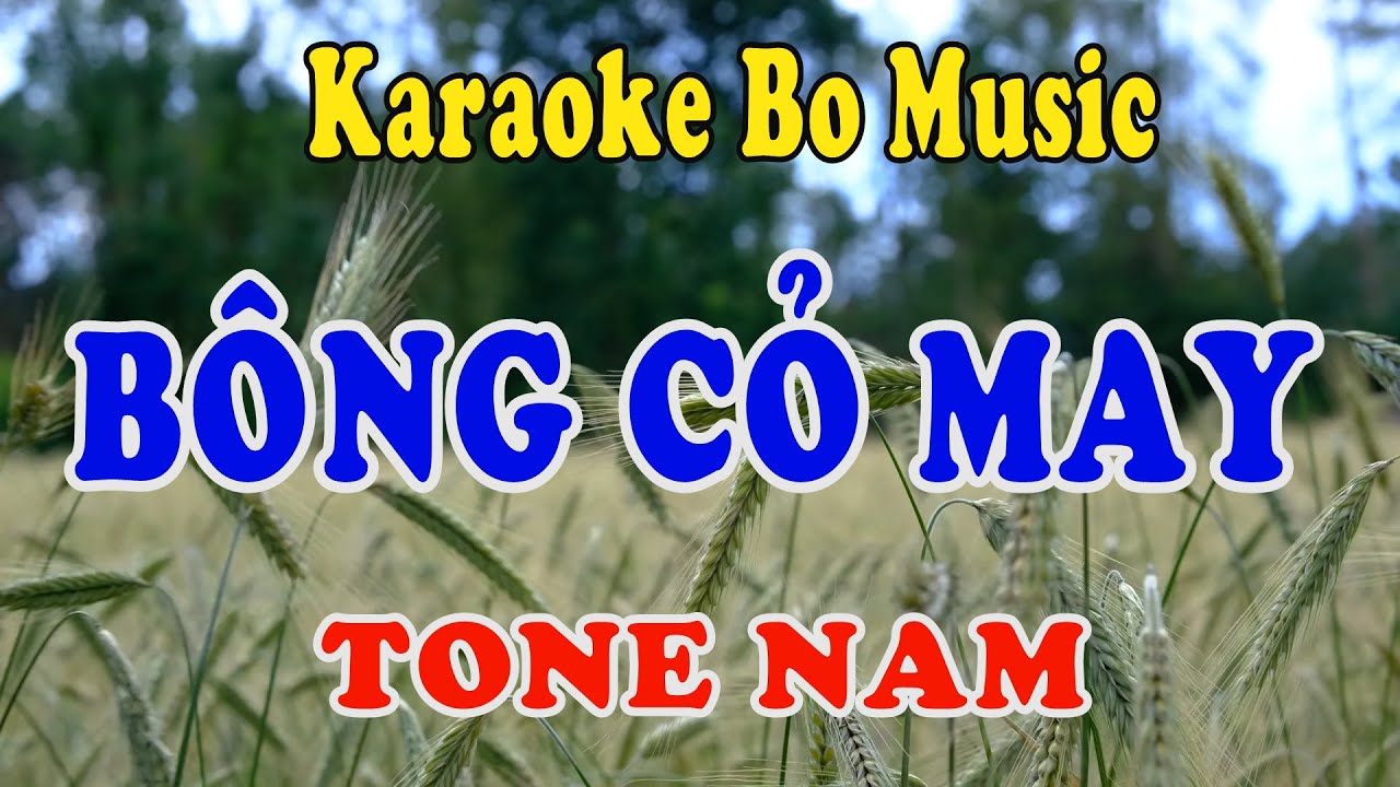 Karaoke Bông Cỏ May Tone Nam - Bo Music - YouTube