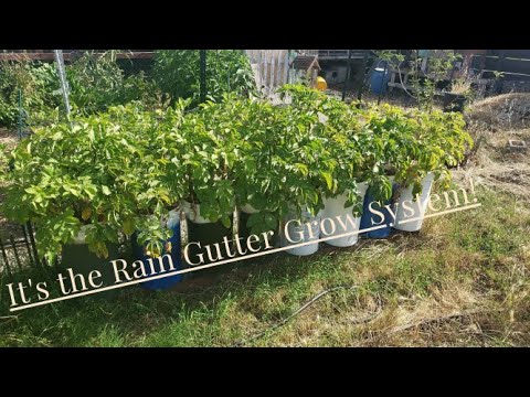 Rain Gutter Grow System - YouTube