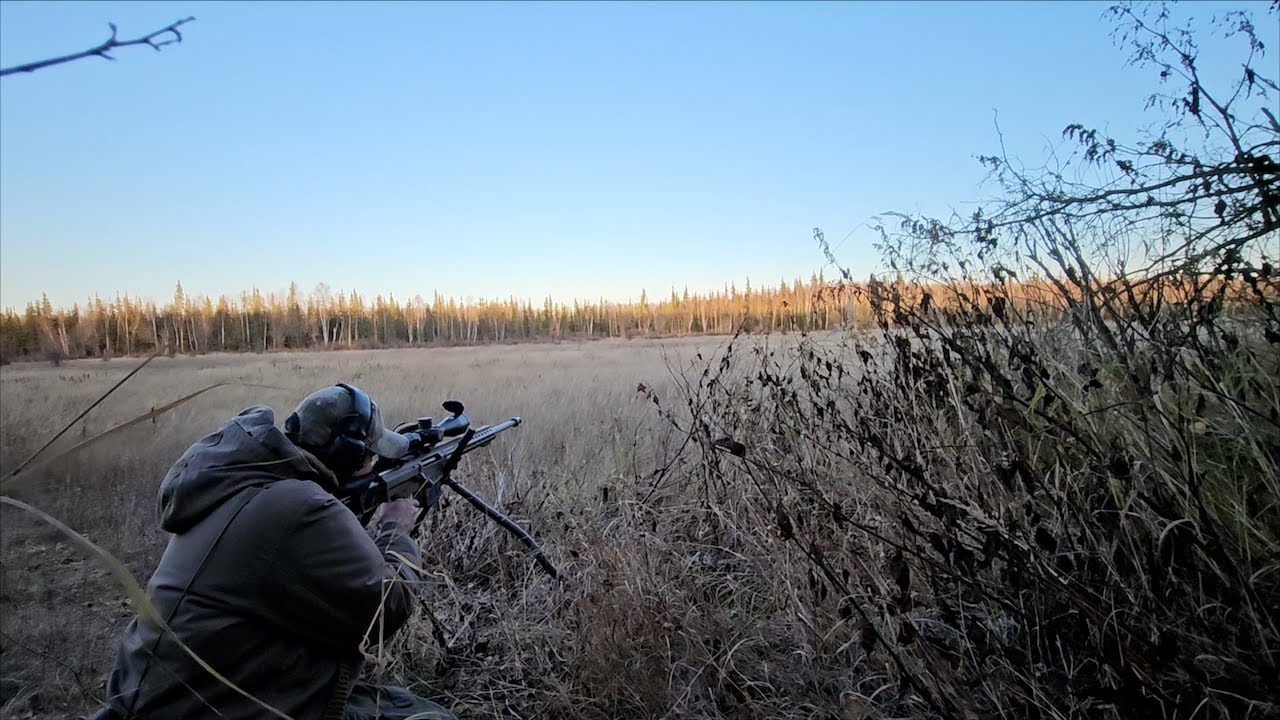 Alaska Moose Hunting with Barrett MRAD Sniper Rifle - YouTube