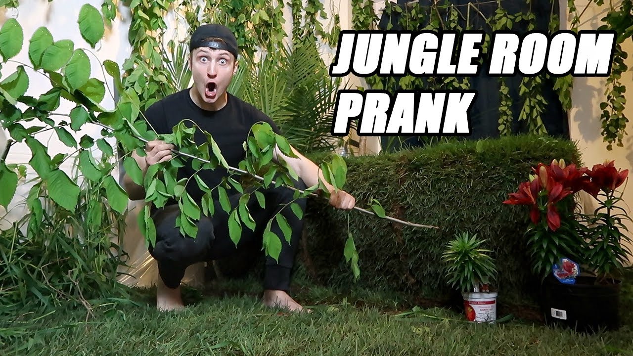 TURNED HIS ROOM INTO A JUNGLE PRANK!! (REAL GRASS) PRANK WARS - YouTube