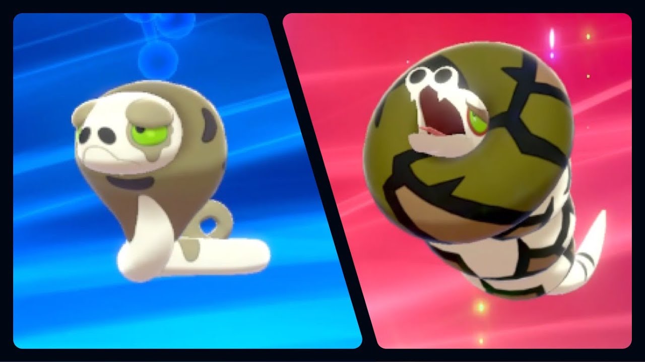 SILICOBRA EVOLVED INTO SANDACONDA (POKEMON SHIELD) - YouTube