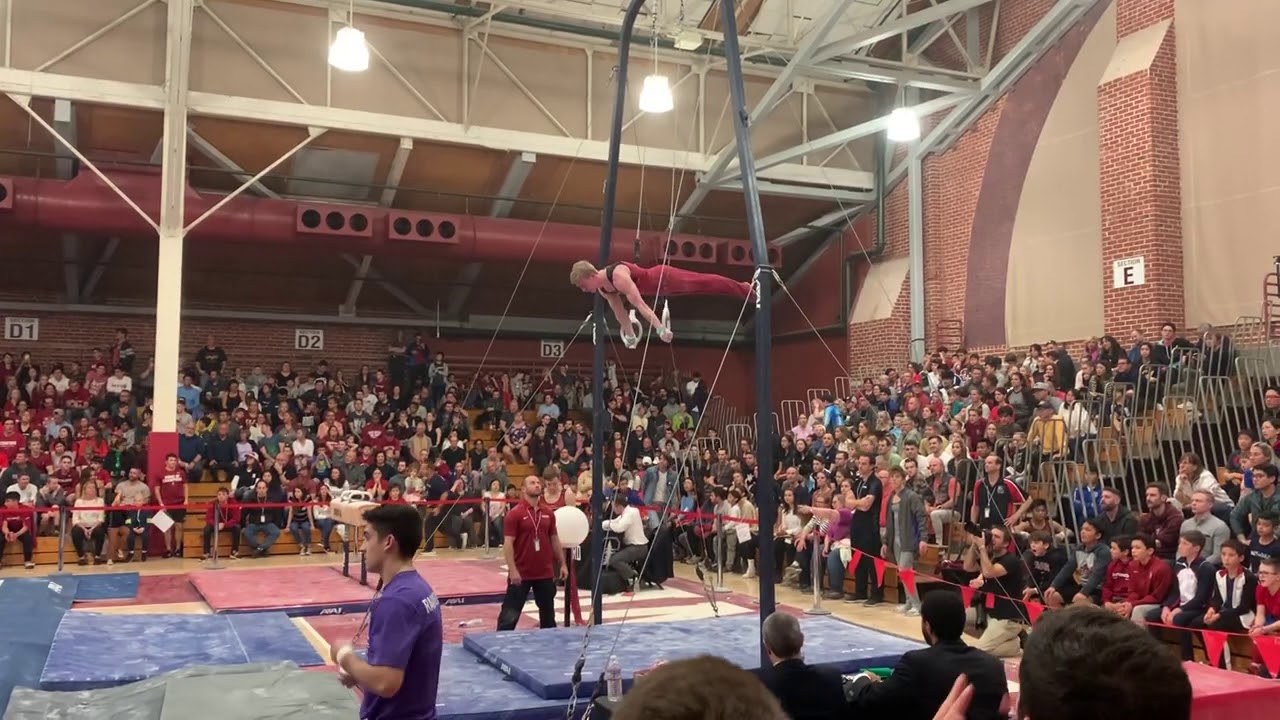 Riley Loos Still Rings - 2020 Stanford Open - YouTube