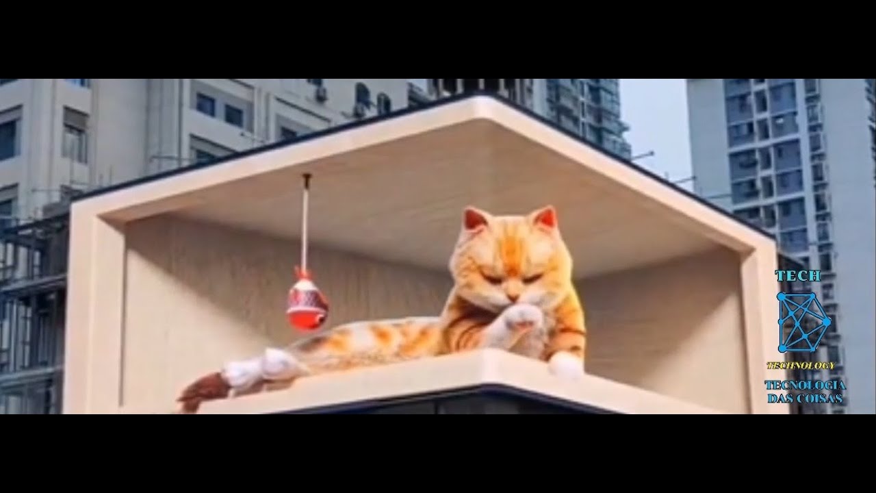 Gato 3D - felino hiper realista tela LED - YouTube