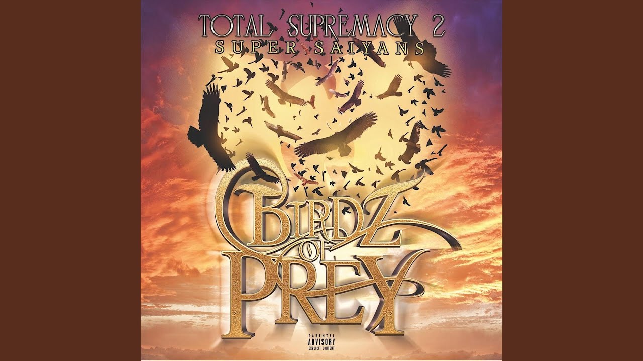 Birdz of Prey (Intro) - YouTube