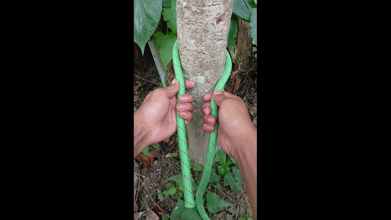 WORLD BEST BOWLINE KNOTS - YouTube