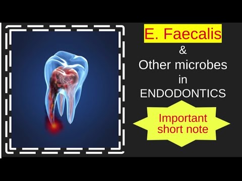 E.faecalis and other Microbes in ENDODONTICS - YouTube