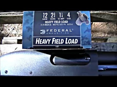Federal 4 Shot Heavy Field Load (Brush Shoot Test) - YouTube