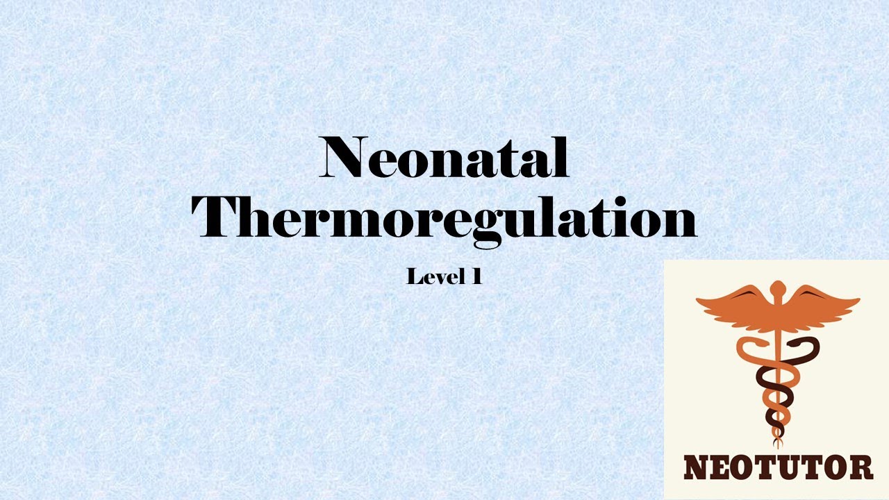 Introduction to Neonatal Thermoregulation - YouTube