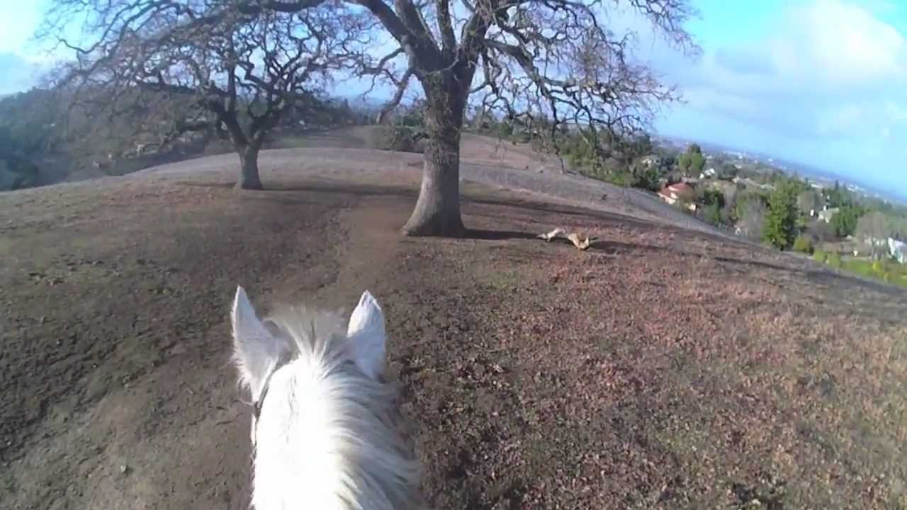 January ride to hill with oak tree and view - YouTube