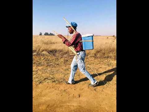 Mr Tips Sir - Ariyeng Pele ft ManKay559 X Comrade Wadzi Katara & K ...