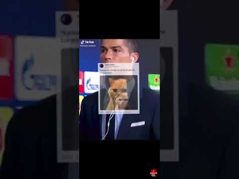 kısa Twitter akım #1 tiktok