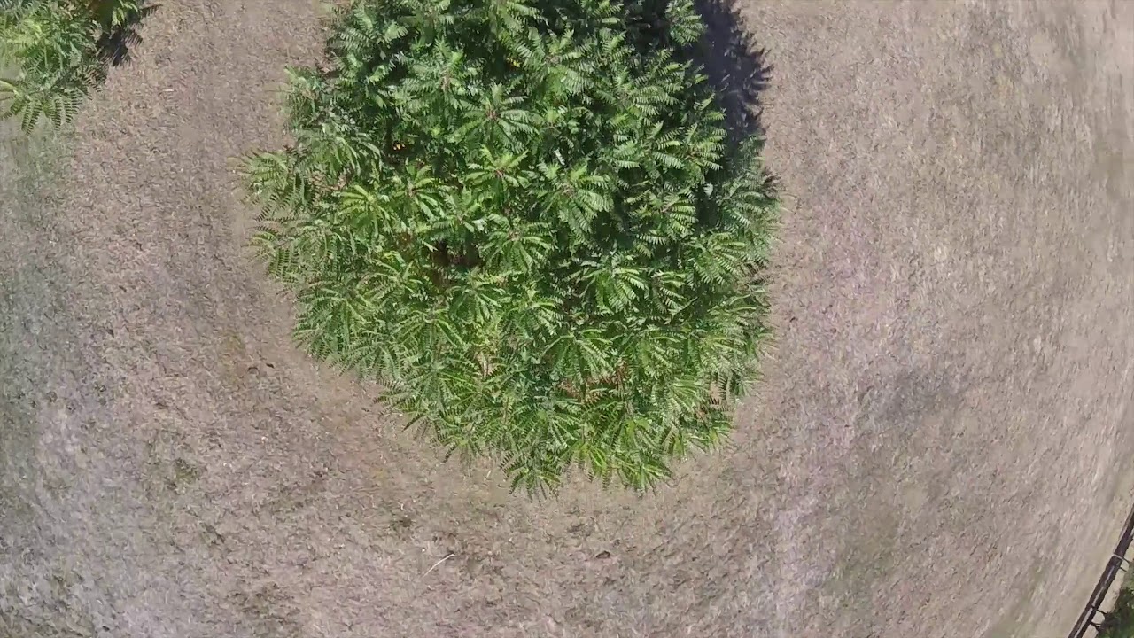 SKITZO-Nova-Frame // Freestyle FPV - YouTube