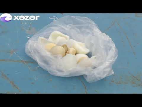 Yumurta, yoxsa plastik top? - Bakıda qeyri-adi hadisə