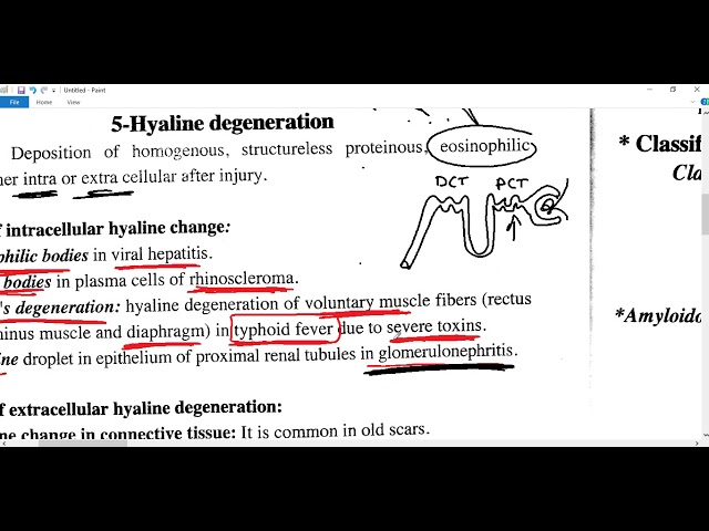 Hyaline Pathology