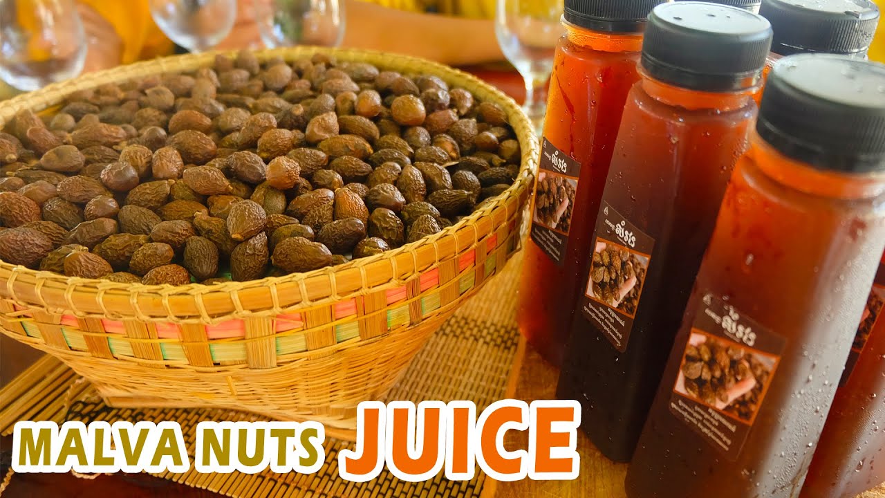 Malva Nuts Fruit Juice - Best Healthy Juice Homemade - YouTube