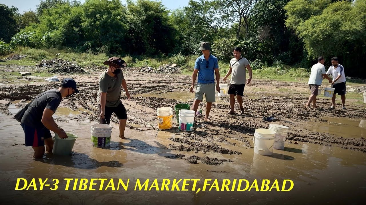 Day-3: Work continues even after heavy rain 💪🌧️ Tibetan Refugee Market ...