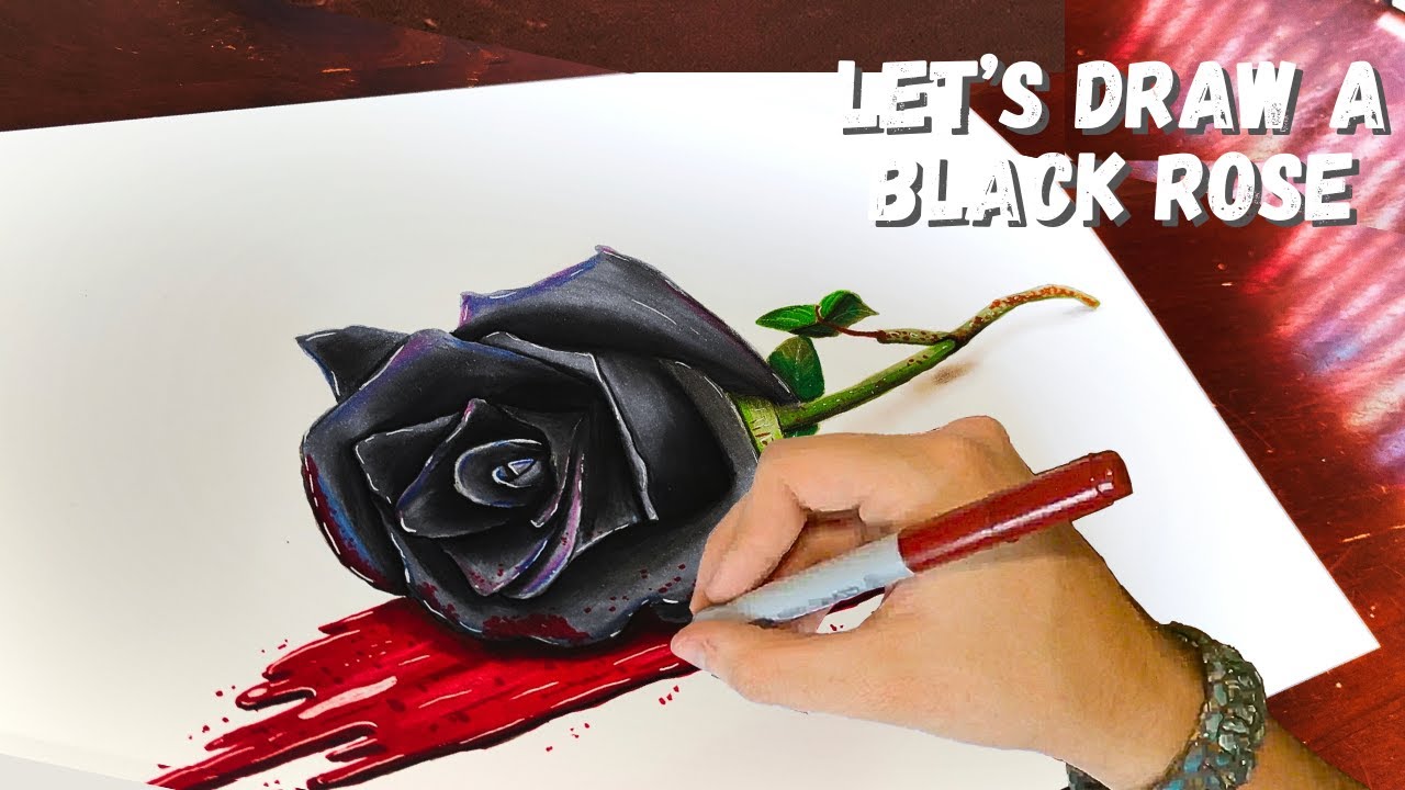 Let's draw a black rose - YouTube