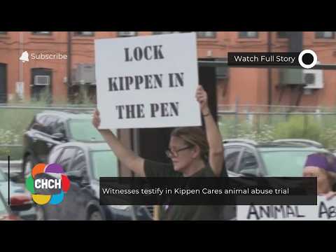 Zeugen sagen im Prozess wegen Tierquälerei bei Kippen Cares aus