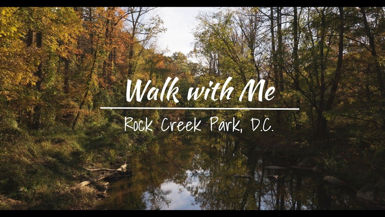Fall Foliage Walks | Rock Creek Park, D.C. [4K HDR] - YouTube