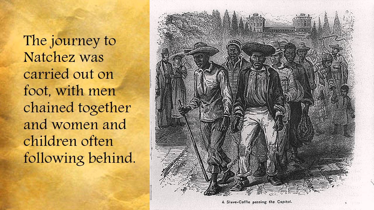 The Migration of Enslaved Women: 'Fancy Girls' and Sexual Exploitation ...