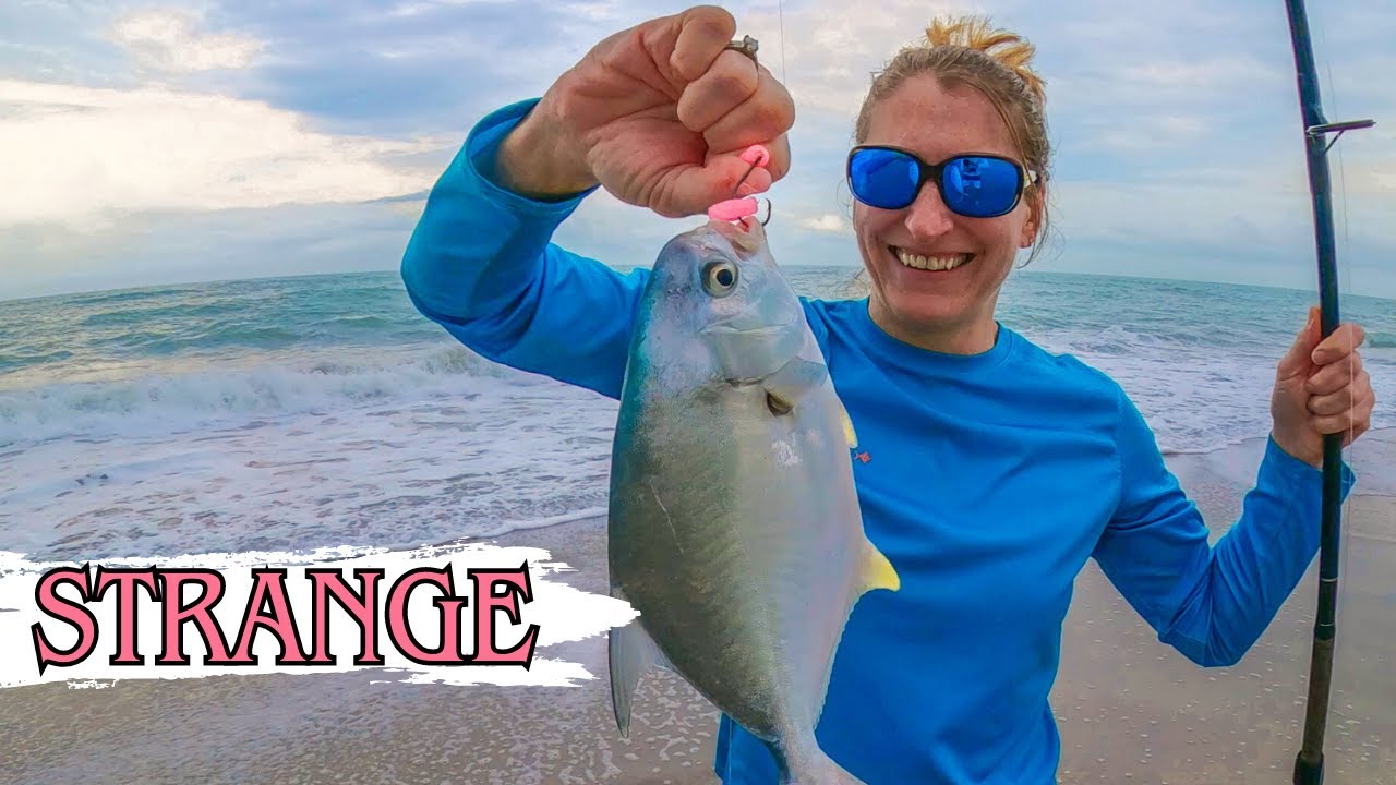 POMPANO Bait Surprise, Frozen.. {Catch, Clean} - YouTube