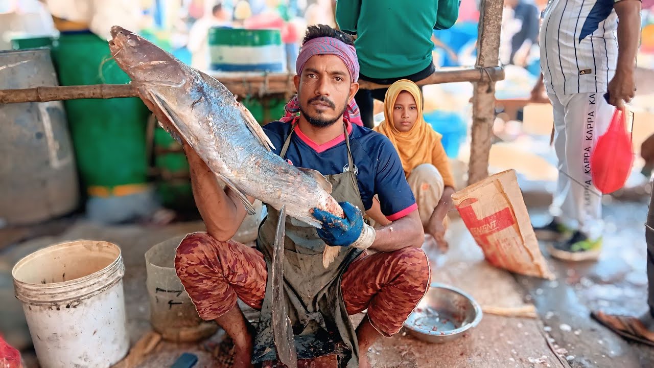 How To Cut Big 10 KG Size Bagha Fish | বাজারের বিশাল 10 কেজি ওজনের বাঘা ...