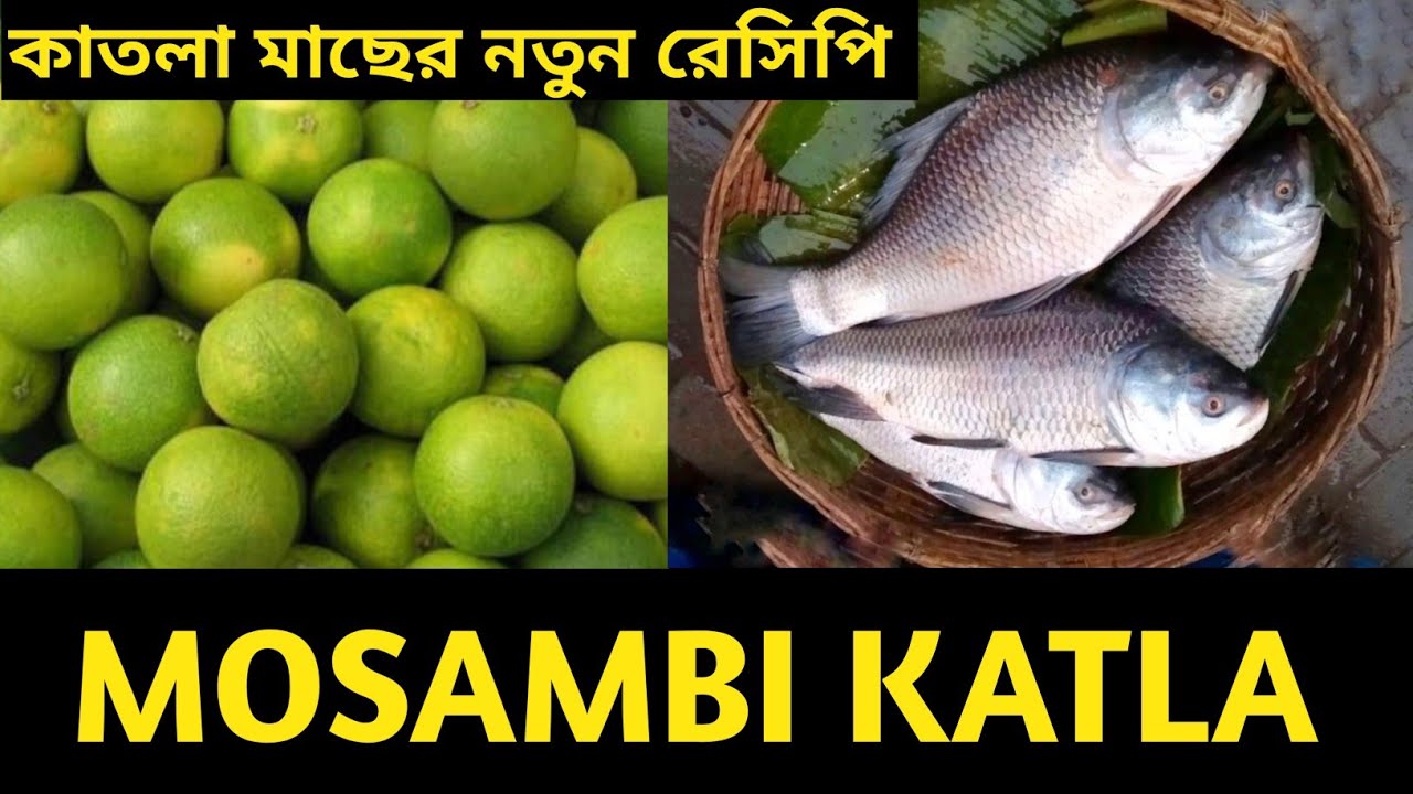 শীতকালের জন্য পারফেক্ট কাতলা মাছের রেসিপি | Mosambi Fish curry | Katla ...