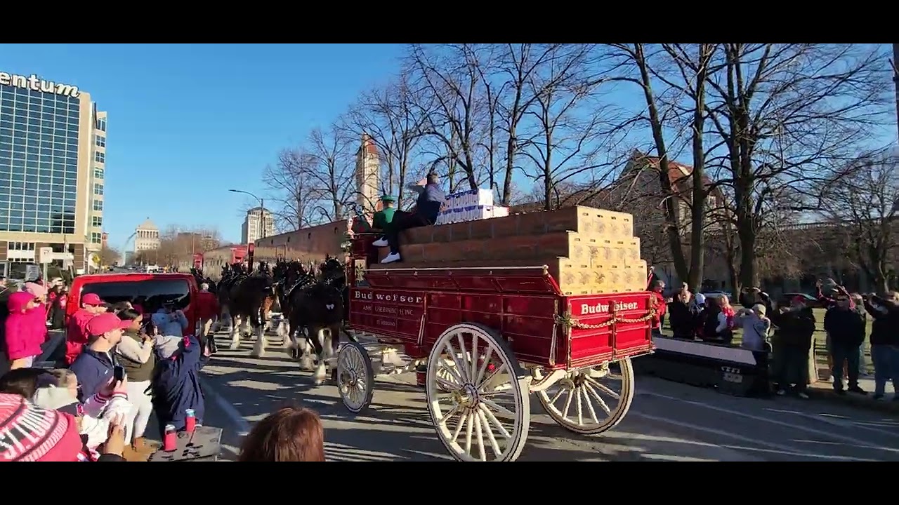 Budweiser Clydesdales@ St. Louis City SC block party event 2024 - YouTube