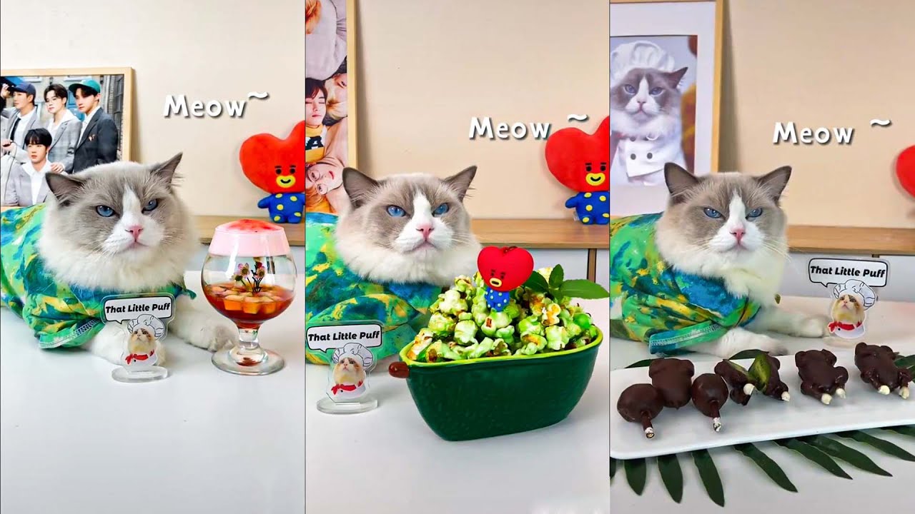 Cats Make Food 😻🍳 | That Little Puff Tiktok Compilation 2022 | Chef Cat ...