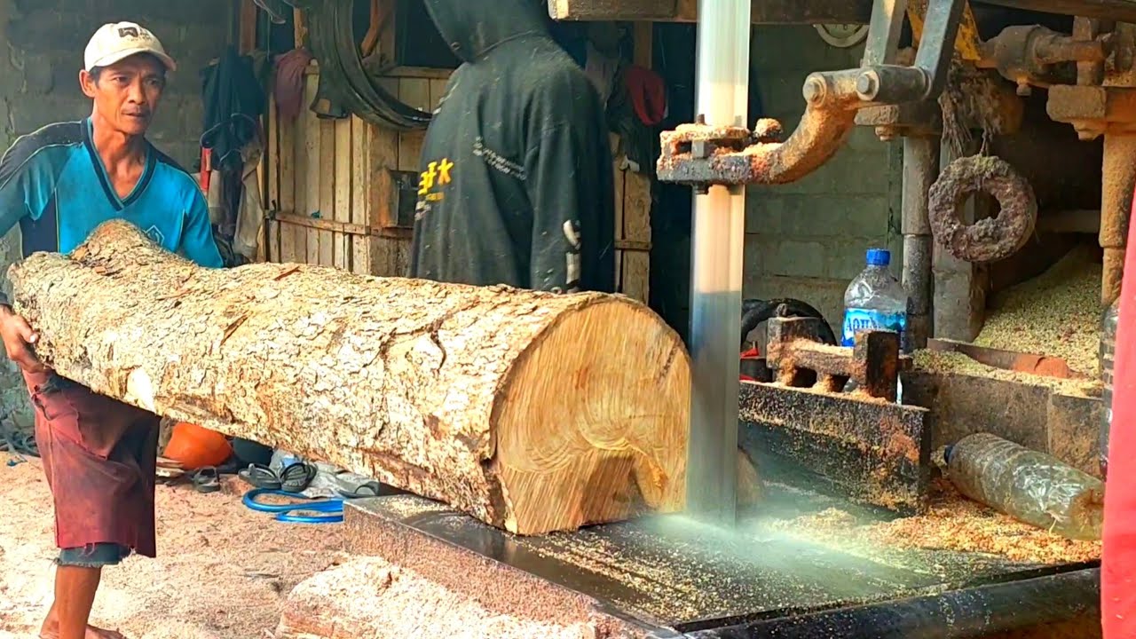 Untung Berlipat..!! Kayu Laban Super Tua.. Disawmil Orderan Nelayan ...